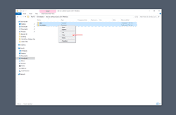 Manual installation on Windows